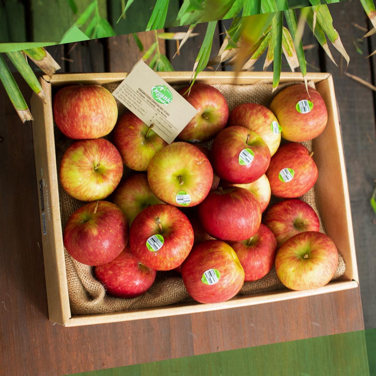 Vì sao nên sử dụng táo hữu cơ Fuji ( Organic Fuji Apple) - Giá trị vàng ...